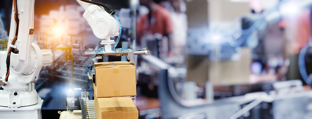 Primat Informatika | INTEGRACIJA SA ROBOTIMA